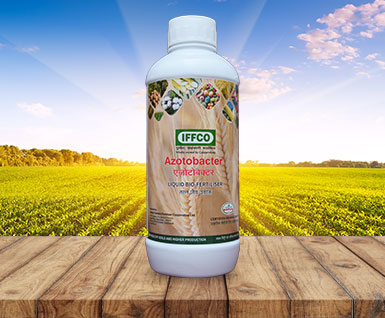 Acetobacter Bio Fertilizer - IFFCO